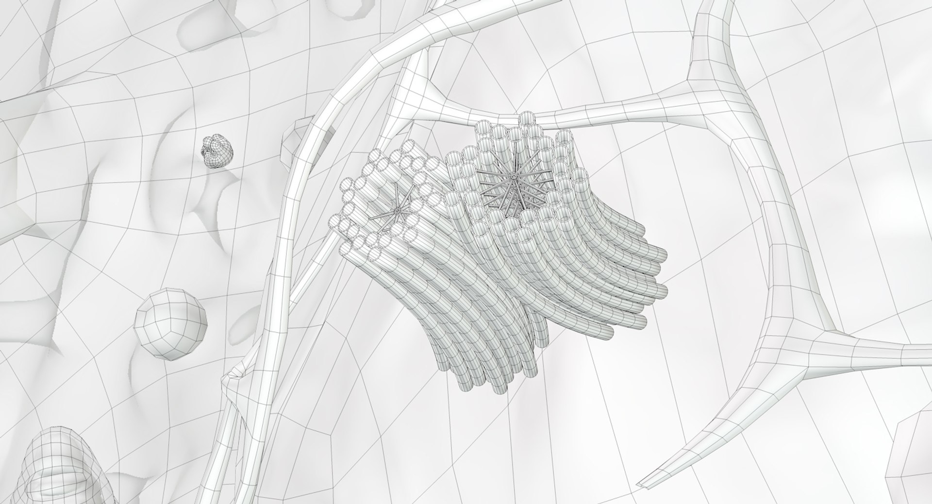 3D model lymphocyte t-cell b-cell - TurboSquid 1267406