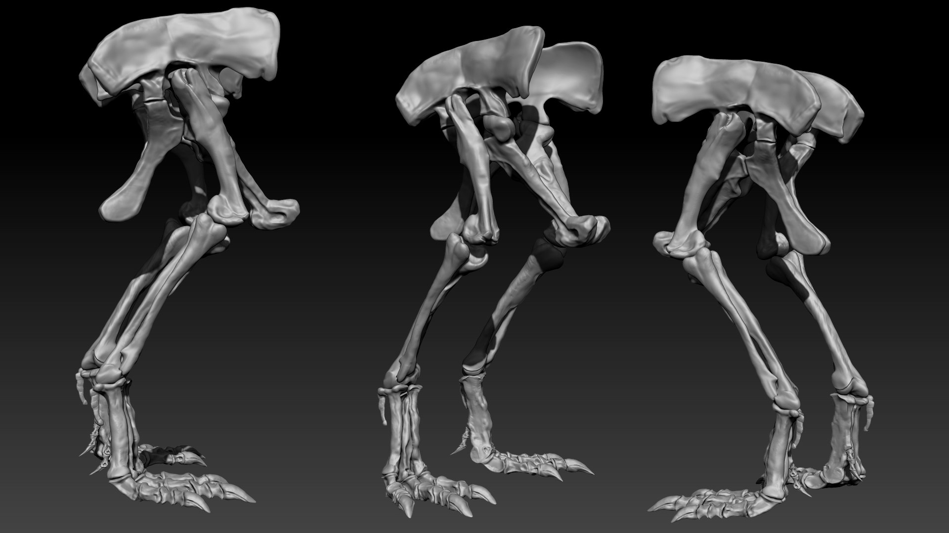 Spinosaurus Hip-Leg Skeletons Set 3D Model - TurboSquid 1714694