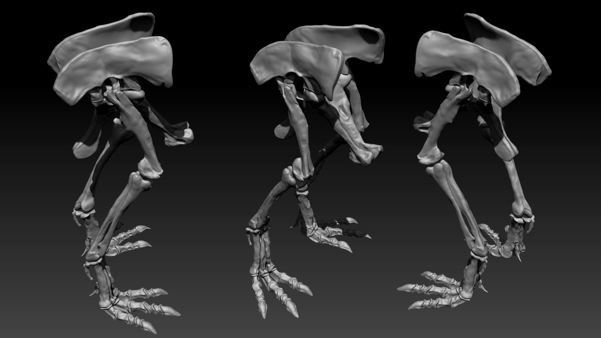 Spinosaurus Hip-Leg Skeletons Set 3D Model - TurboSquid 1714694