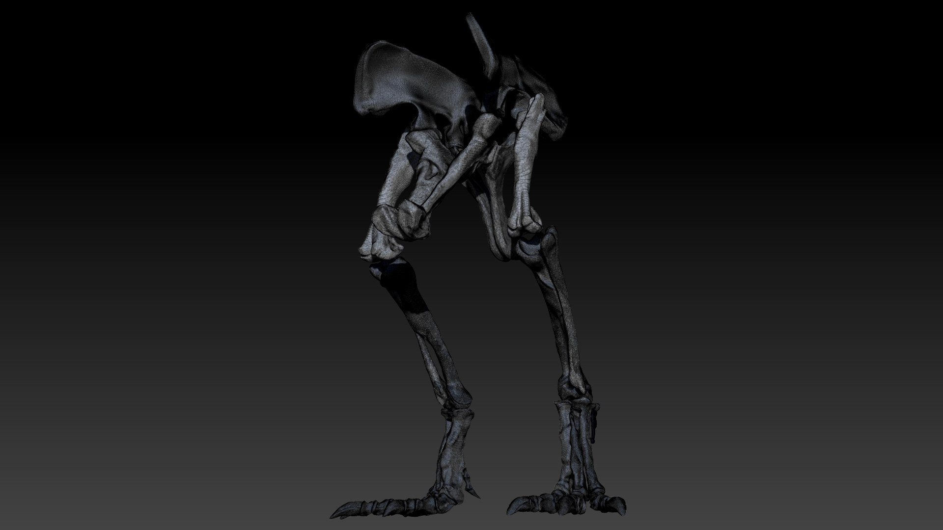 Spinosaurus Hip-Leg Skeletons Set 3D Model - TurboSquid 1714694