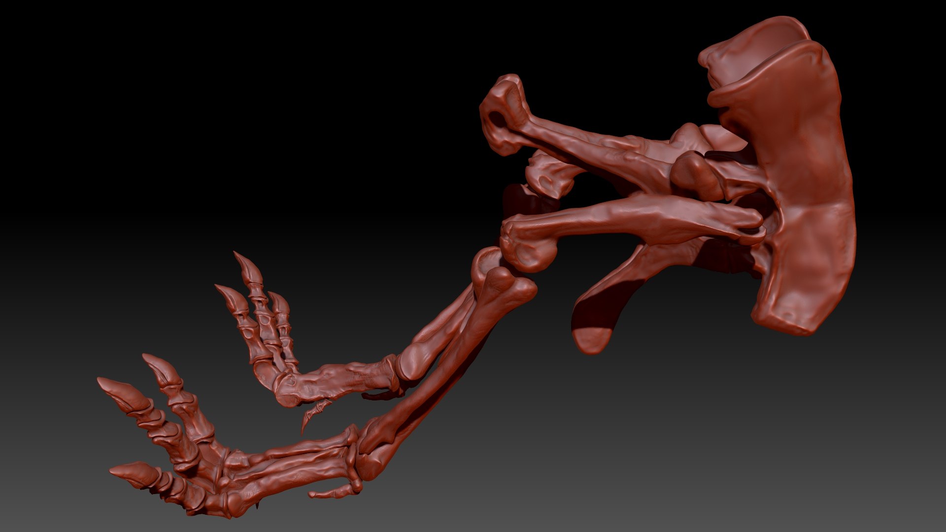 Spinosaurus Hip-Leg Skeletons Set 3D Model - TurboSquid 1714694