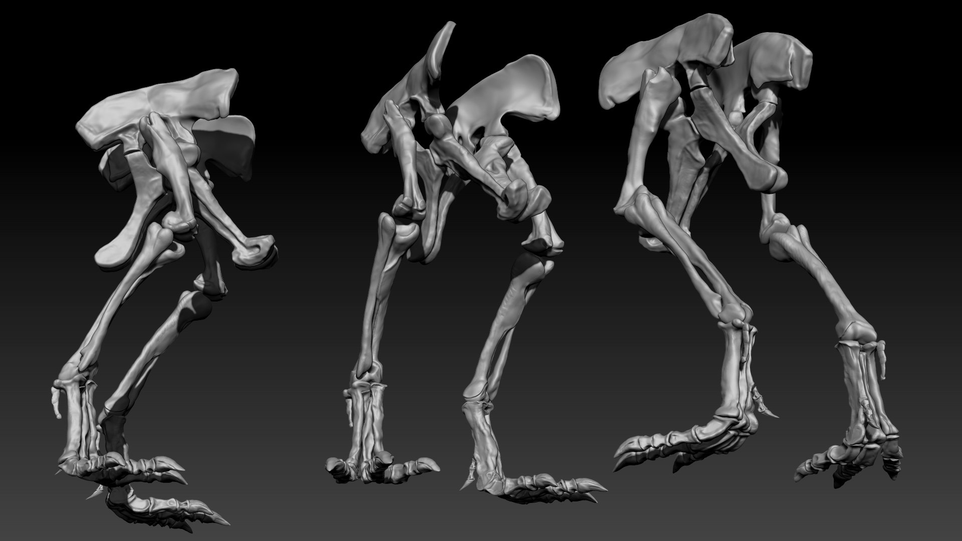 Spinosaurus Hip-Leg Skeletons Set 3D Model - TurboSquid 1714694