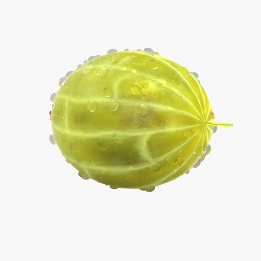 goose berry gooseberry 3d model