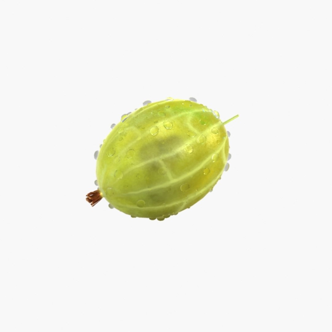 goose berry gooseberry 3d model