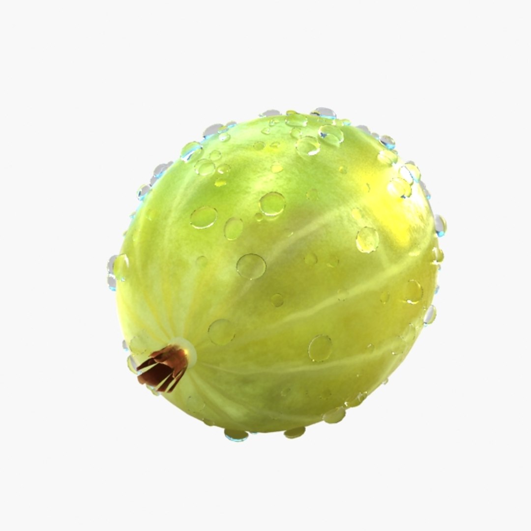 goose berry gooseberry 3d model