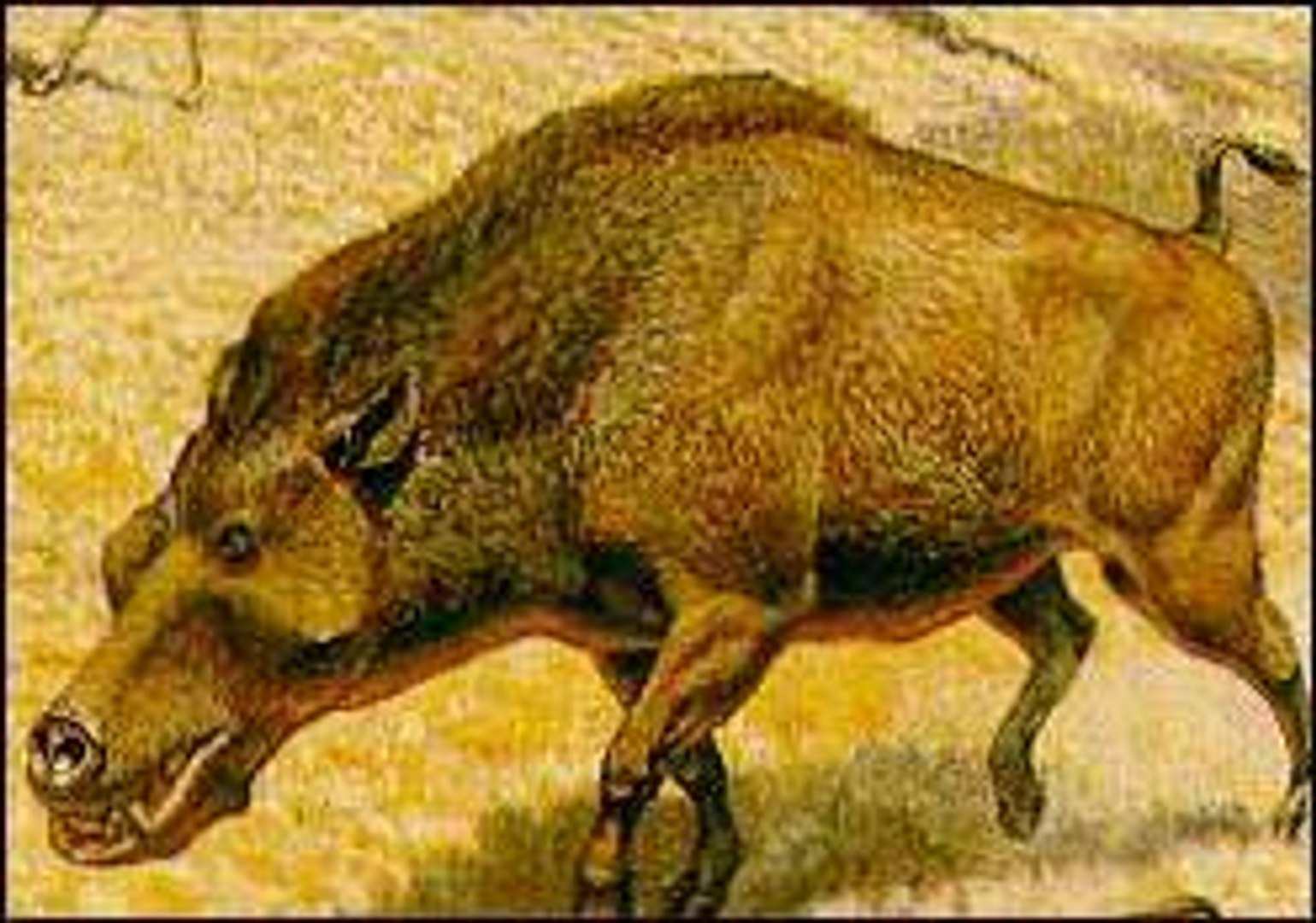 Dinohyus Pig Mammal 3d Model