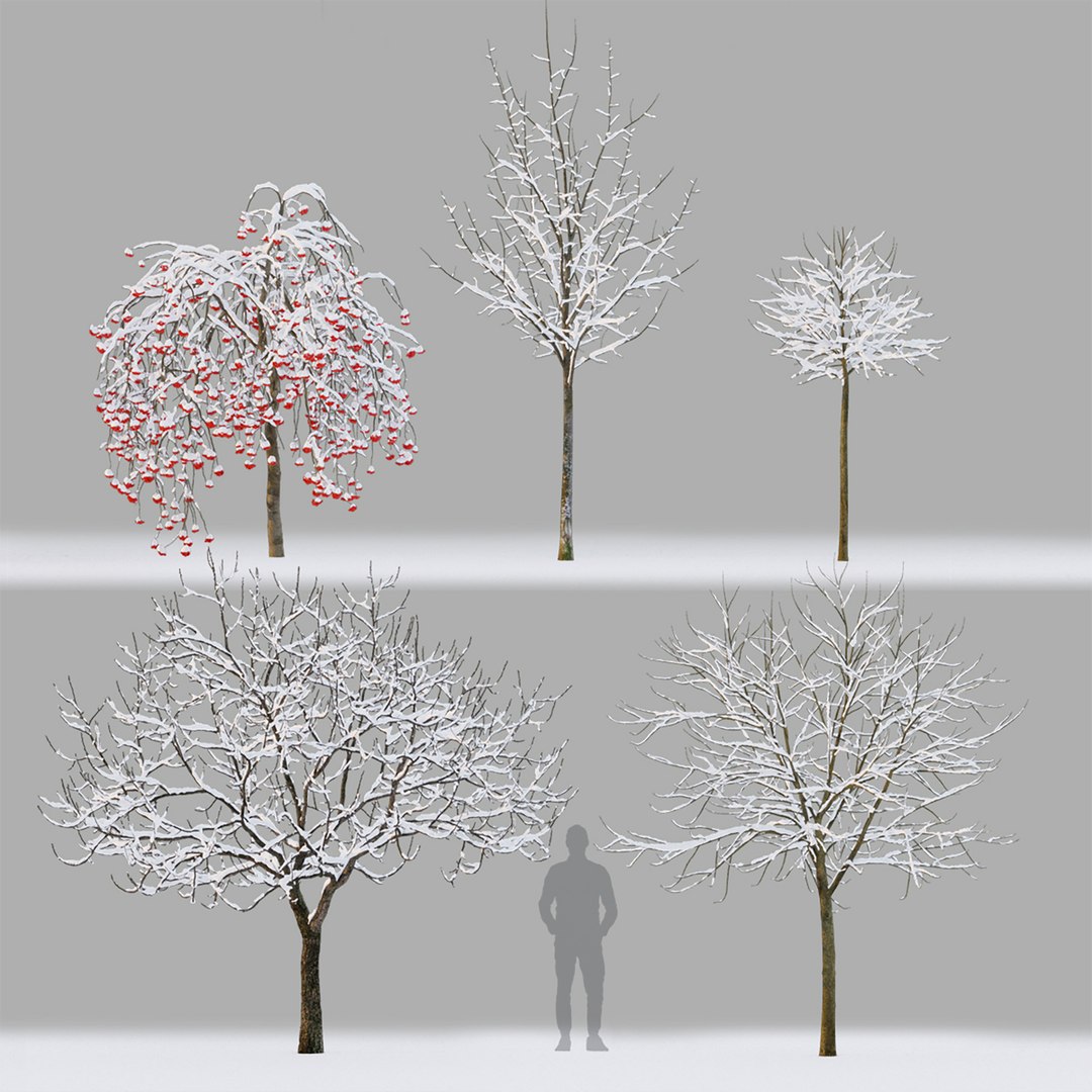 3D Trees Winter 01 - TurboSquid 1826628