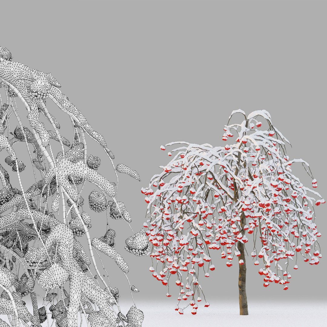 3D Trees Winter 01 - TurboSquid 1826628