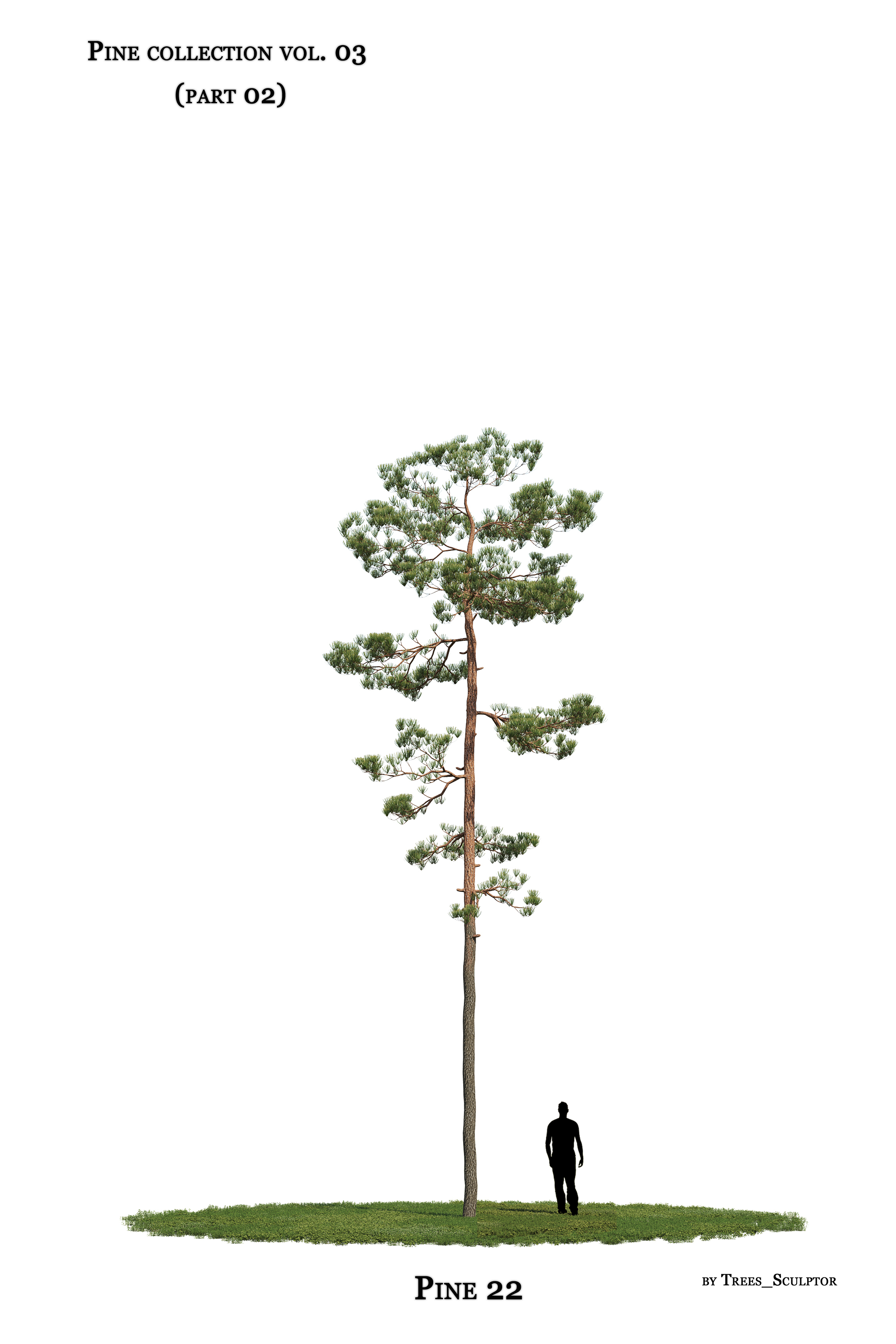 3D pine pine-trees tree model - TurboSquid 1252369