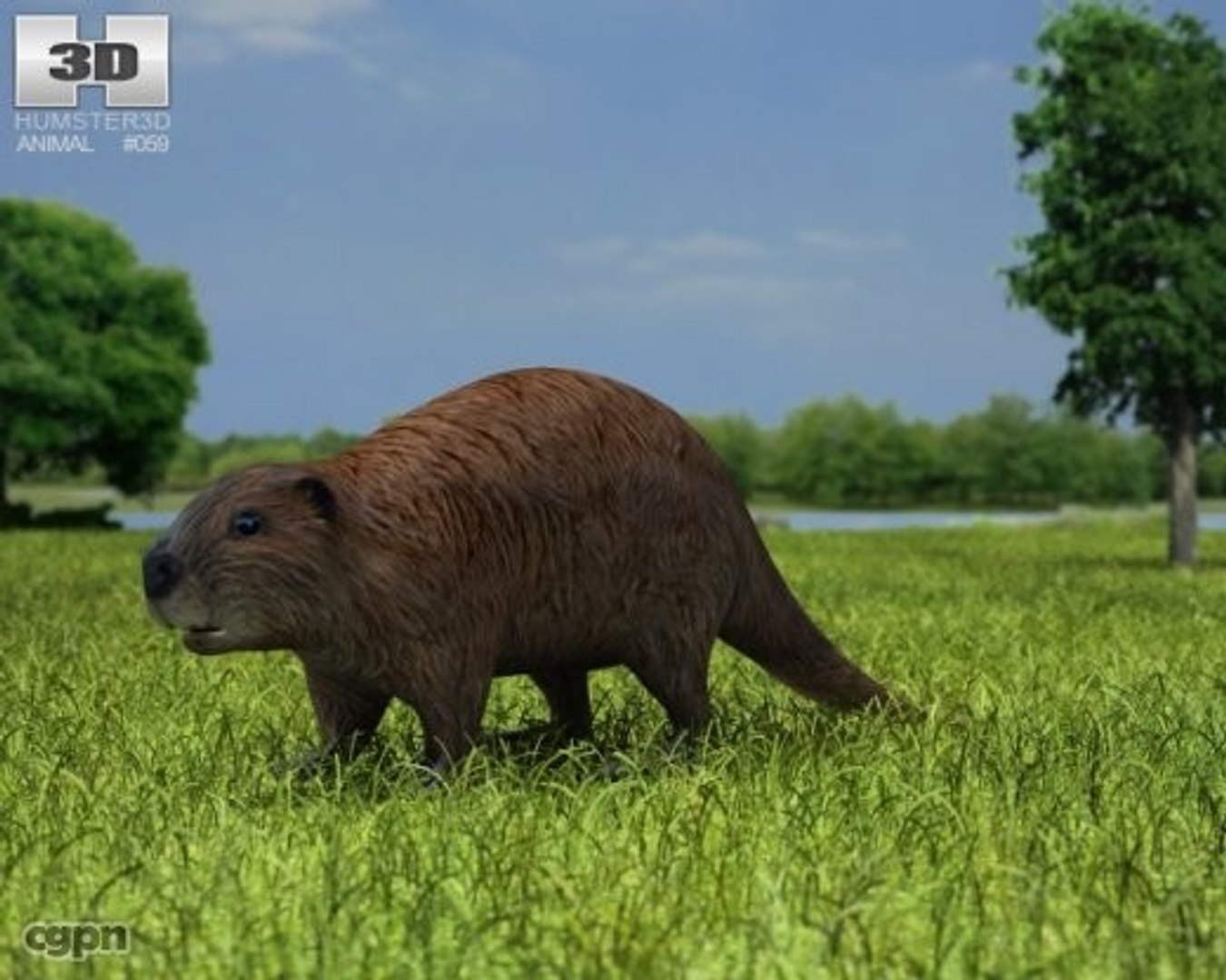 Max Beaver Castor Canadensis