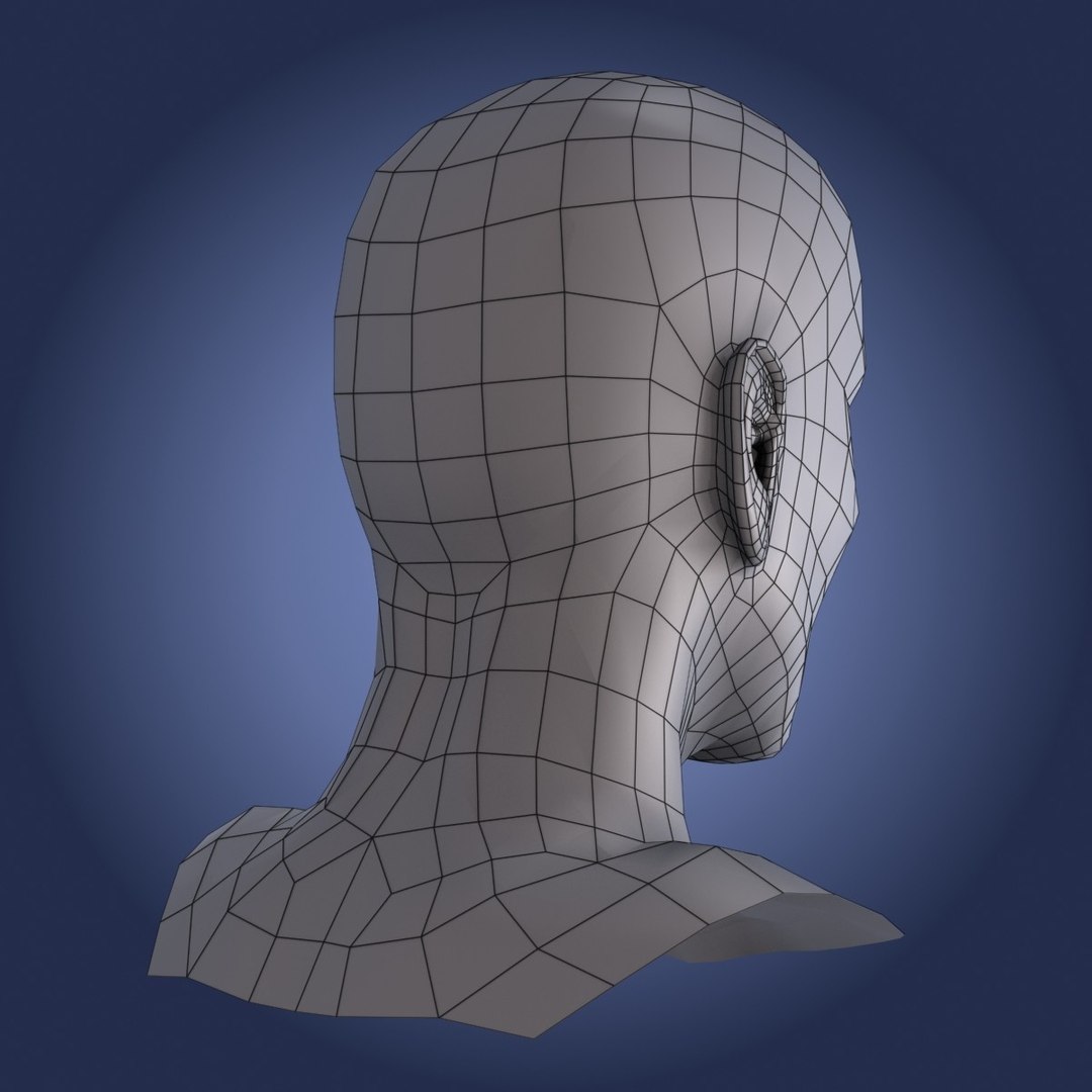 3d Male Head Model