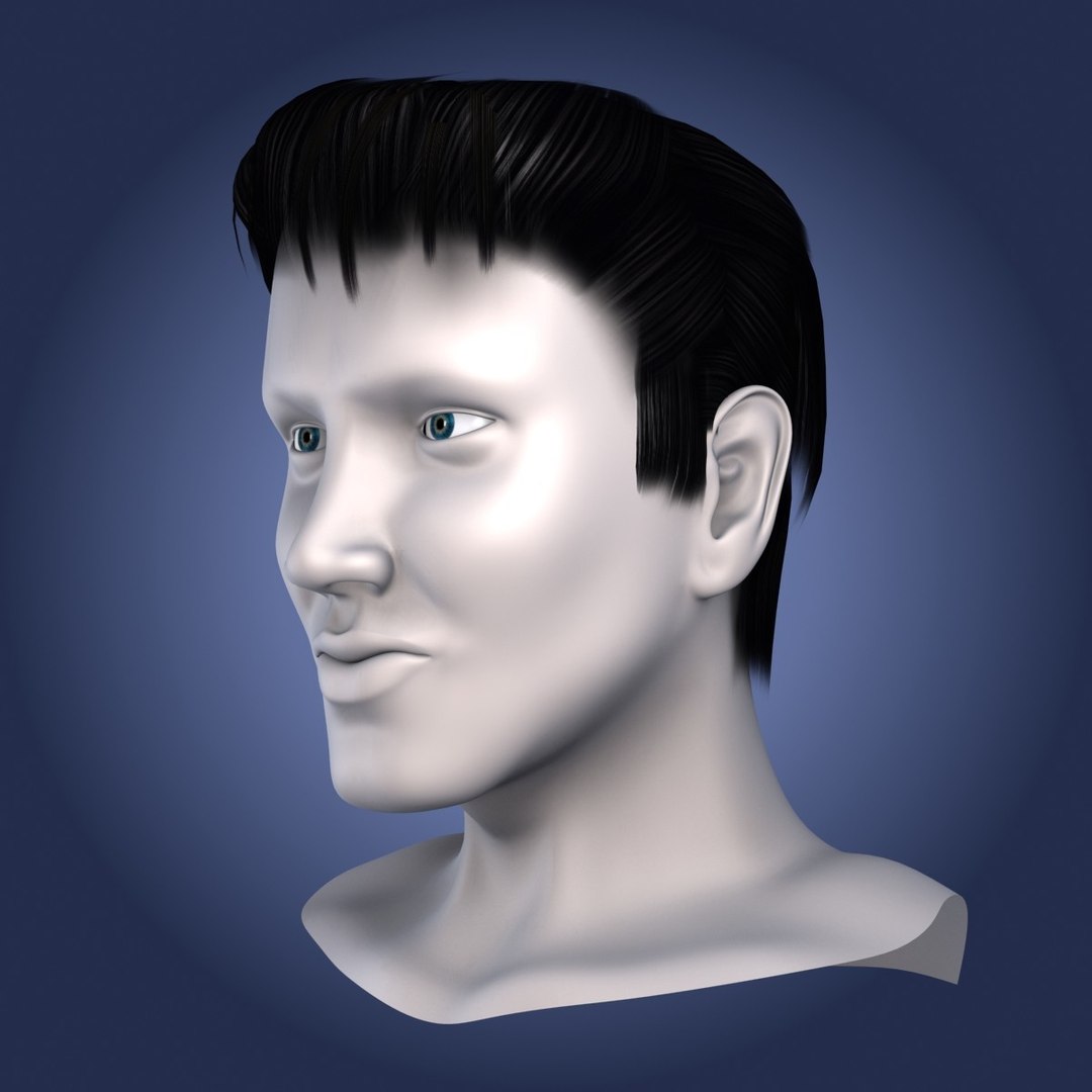 3d Male Head Model