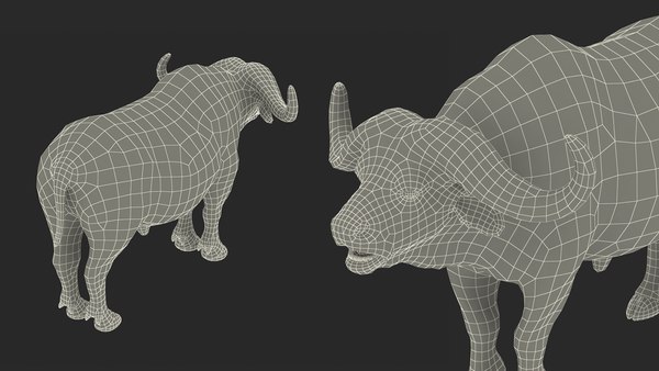 Syncerus caffer african buffalo 3D model - TurboSquid 1561143