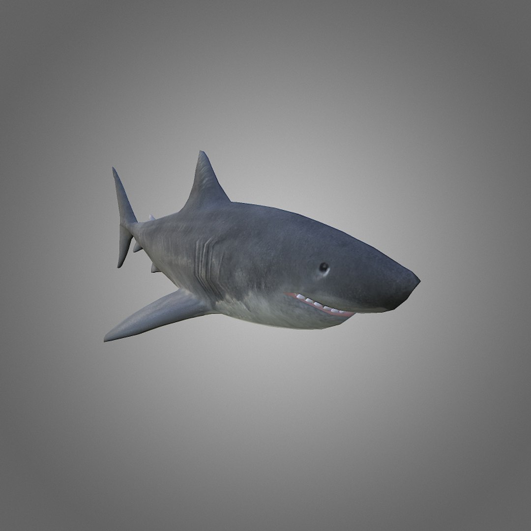 3d Model Of Low-poly Shark