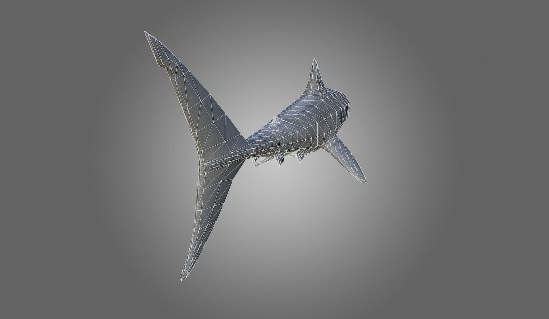 3d Model Of Low-poly Shark
