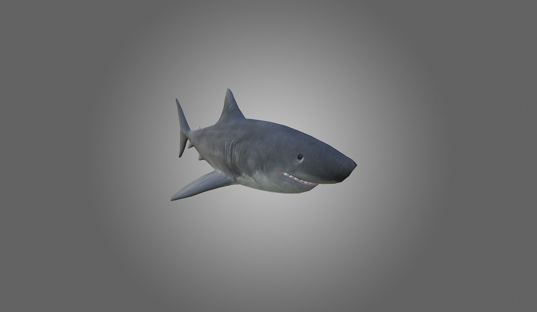 3d Model Of Low-poly Shark