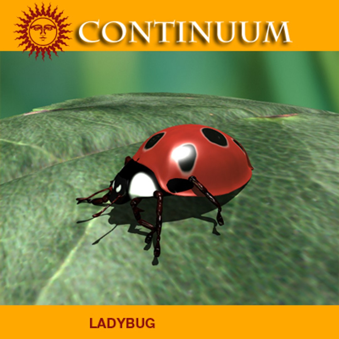 Ladybug Lady Lightwave Lwo