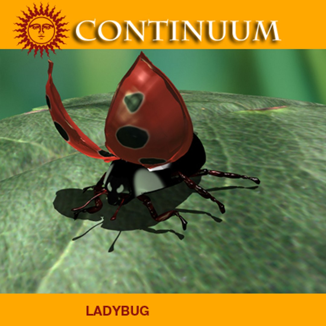 Ladybug Lady Lightwave Lwo