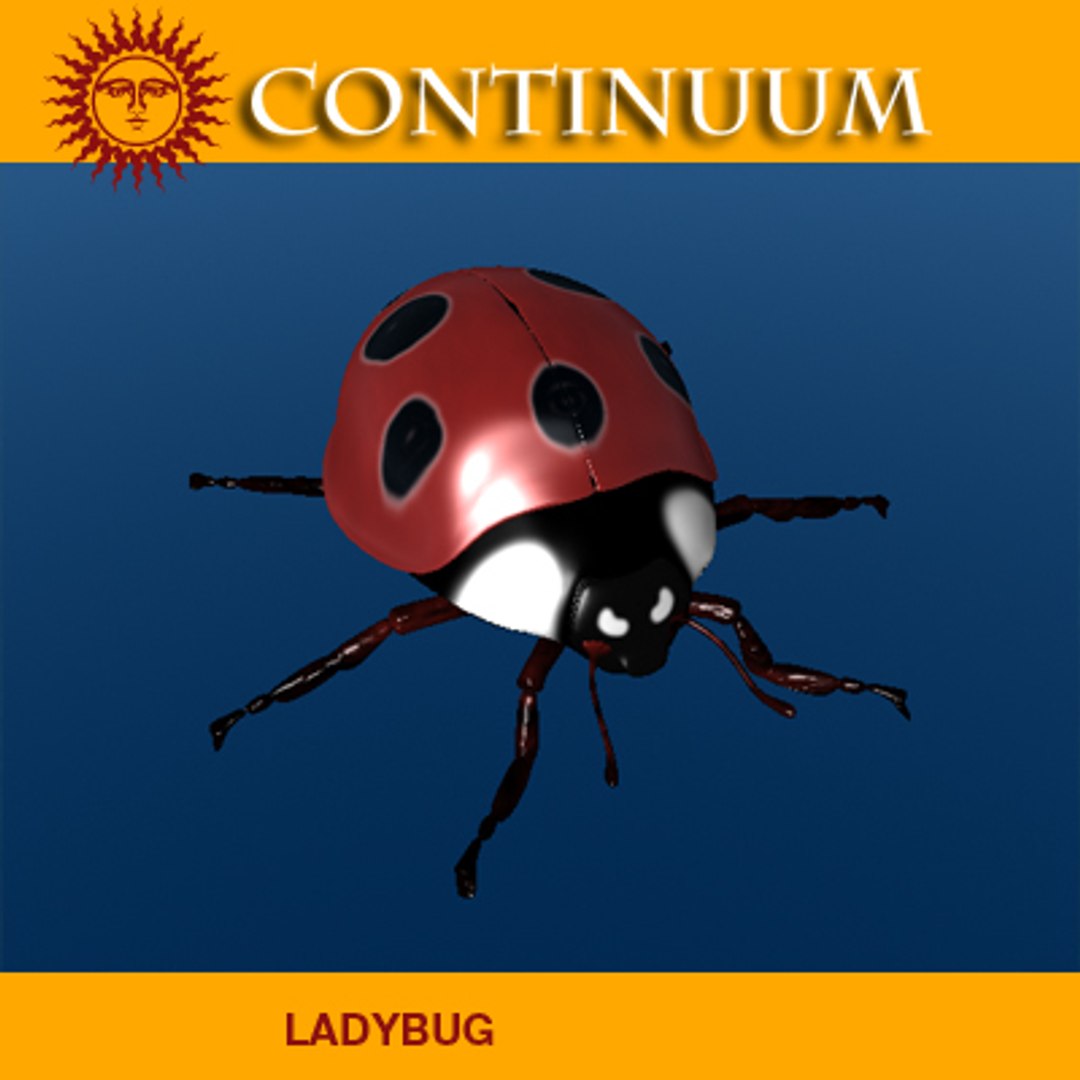 Ladybug Lady Lightwave Lwo