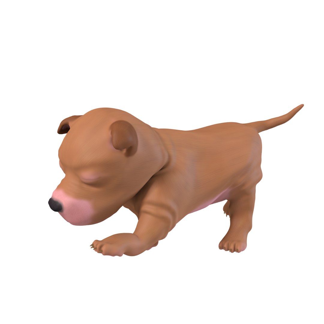 Newborn Puppy 3d Model