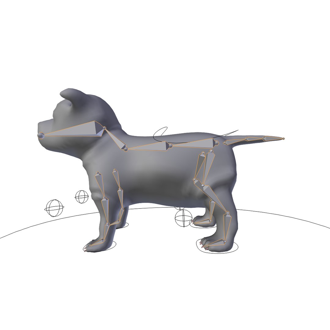 Newborn Puppy 3d Model