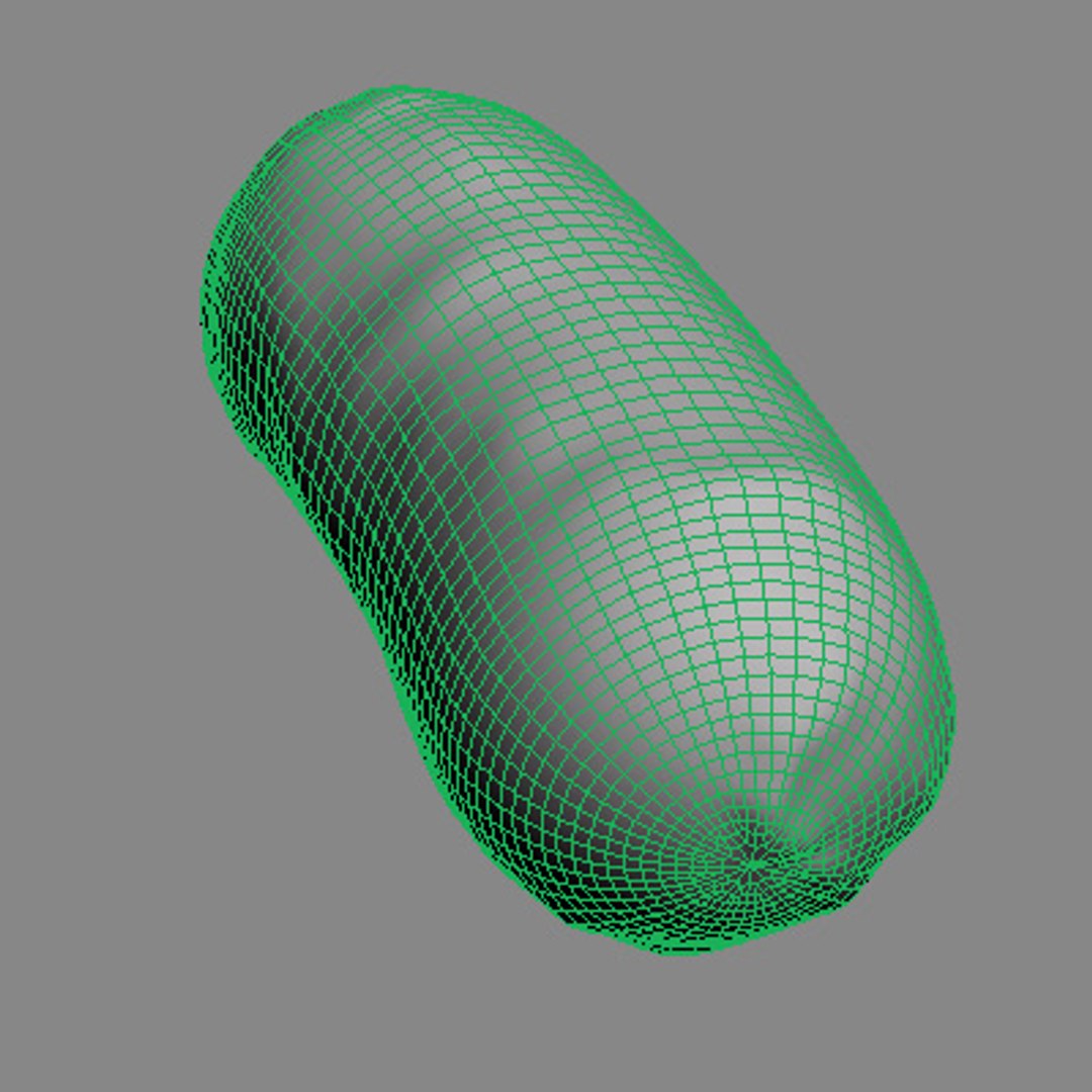 3d Bacillus Bacteria Model
