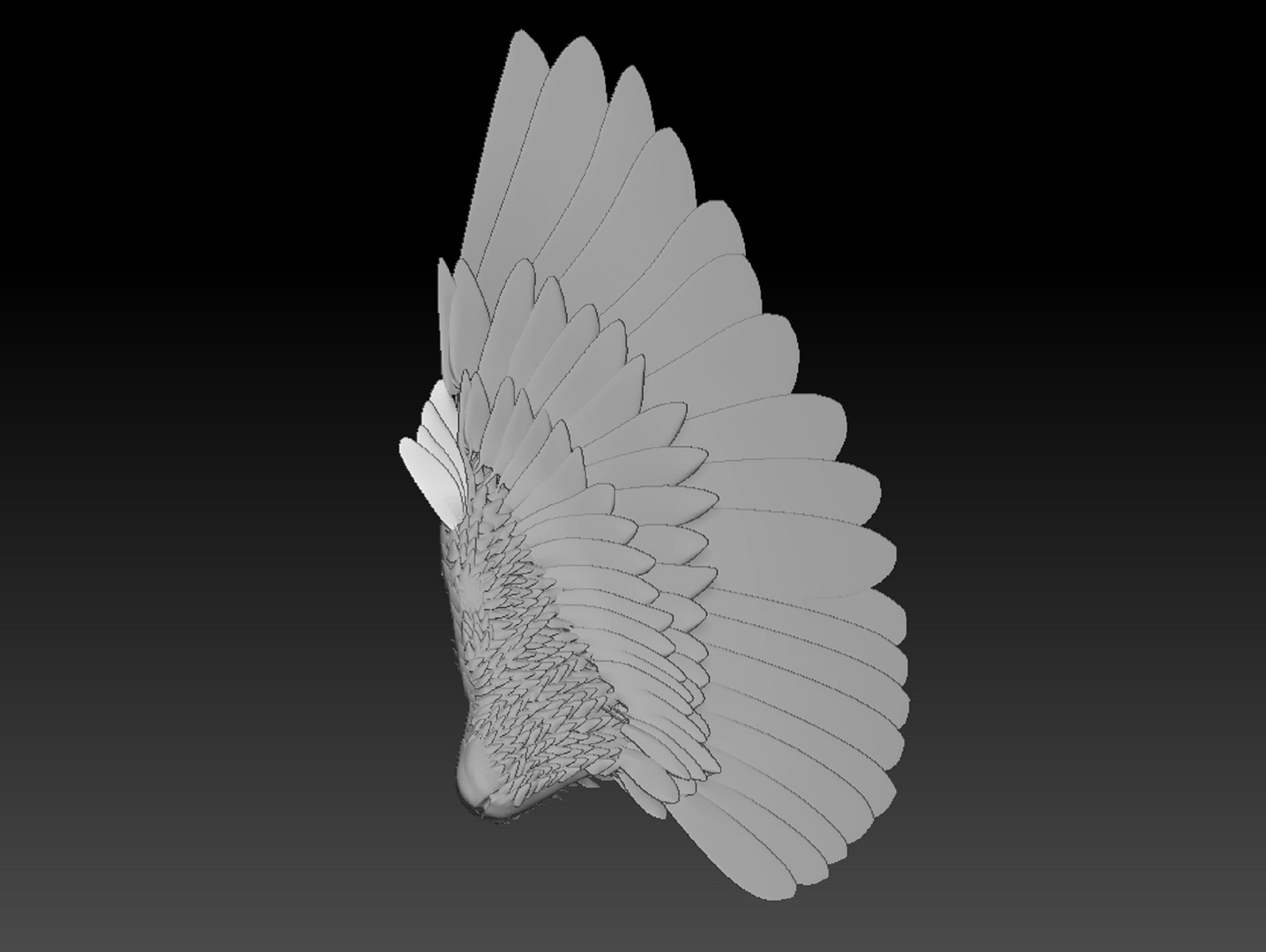 Free Hawk Wing 3D - TurboSquid 1887693