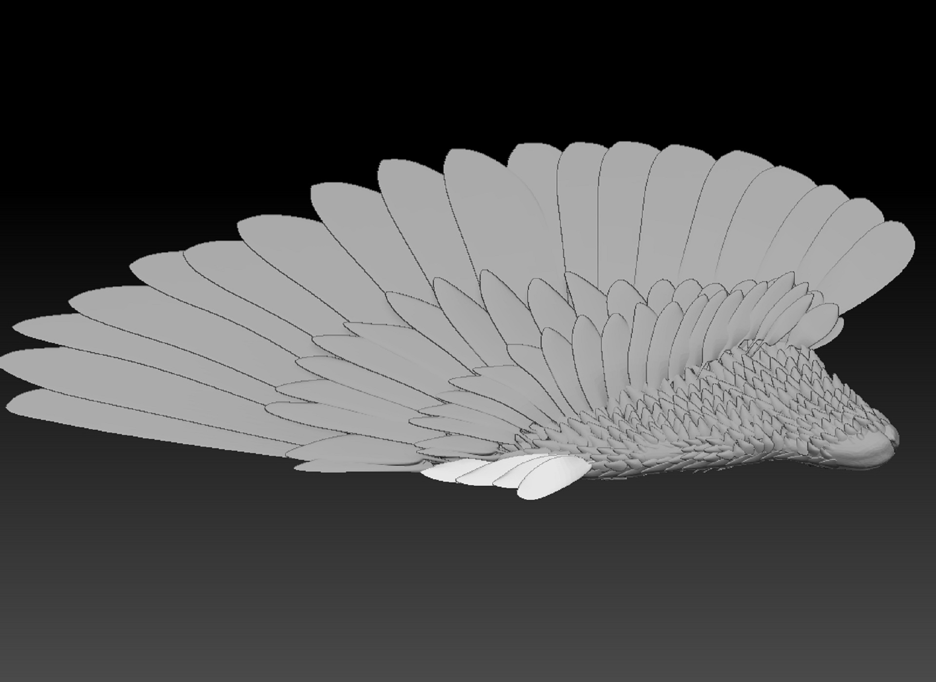 Free Hawk Wing 3D - TurboSquid 1887693