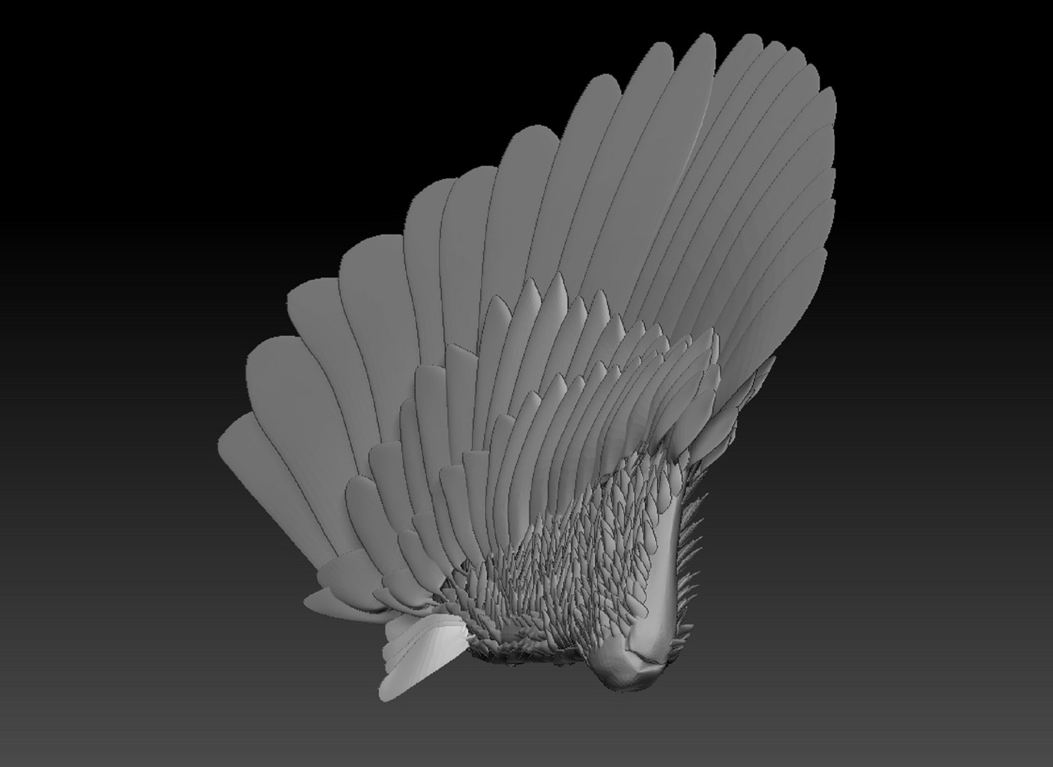 Free Hawk Wing 3D - TurboSquid 1887693