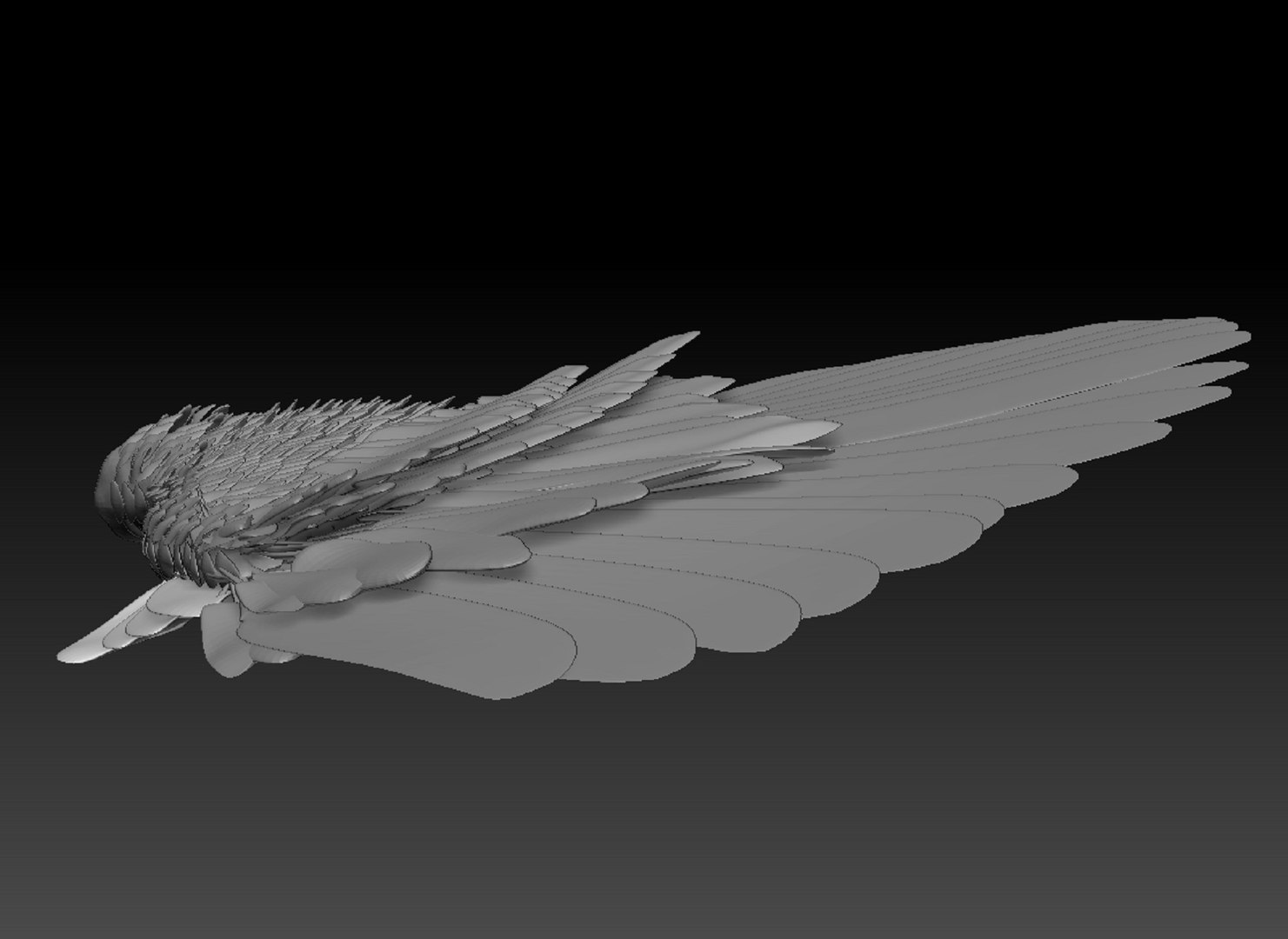 Free Hawk Wing 3D - TurboSquid 1887693
