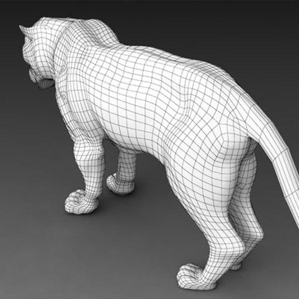 white tiger max