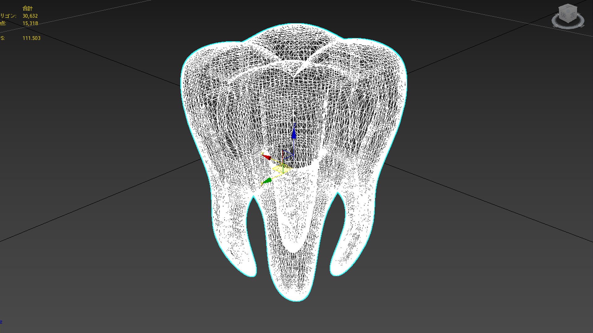 3D Model Tooth - TurboSquid 1671160