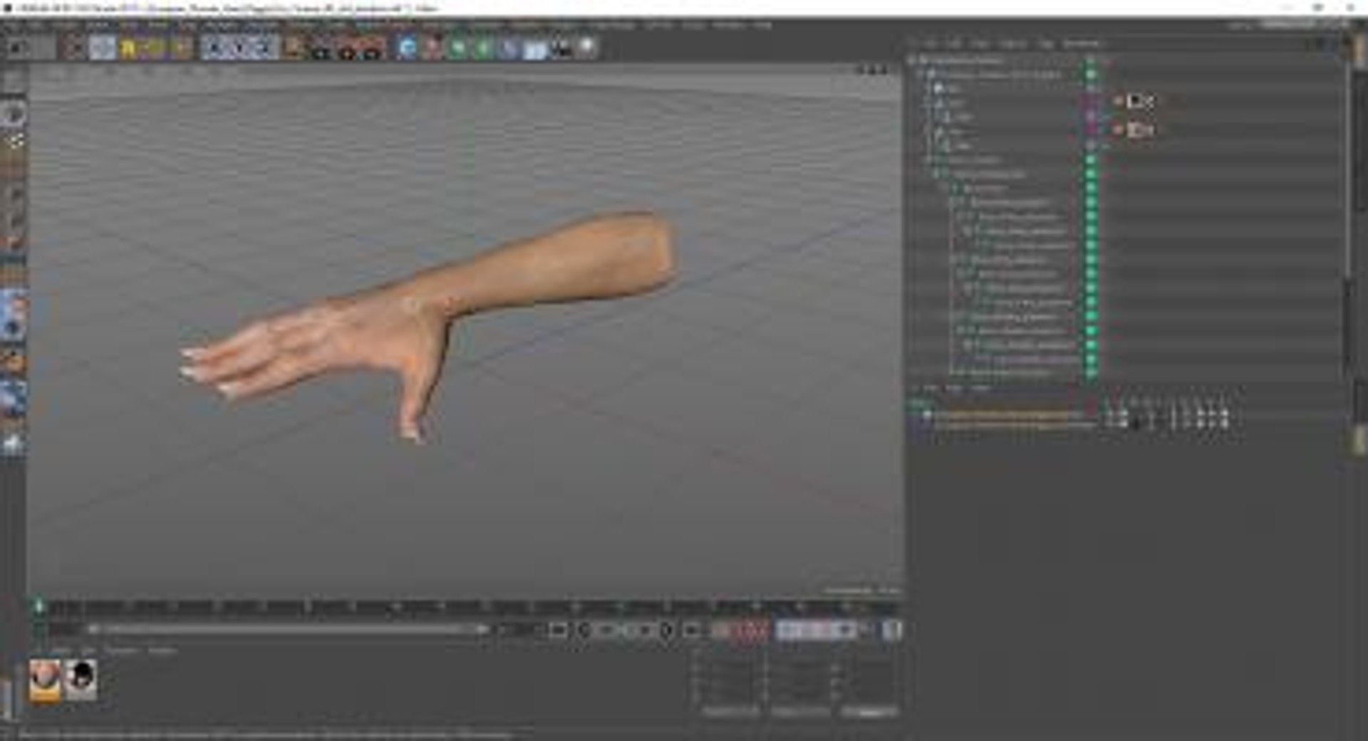 3D Model European Woman Hand Rigged For Cinema 4D - TurboSquid 2195327