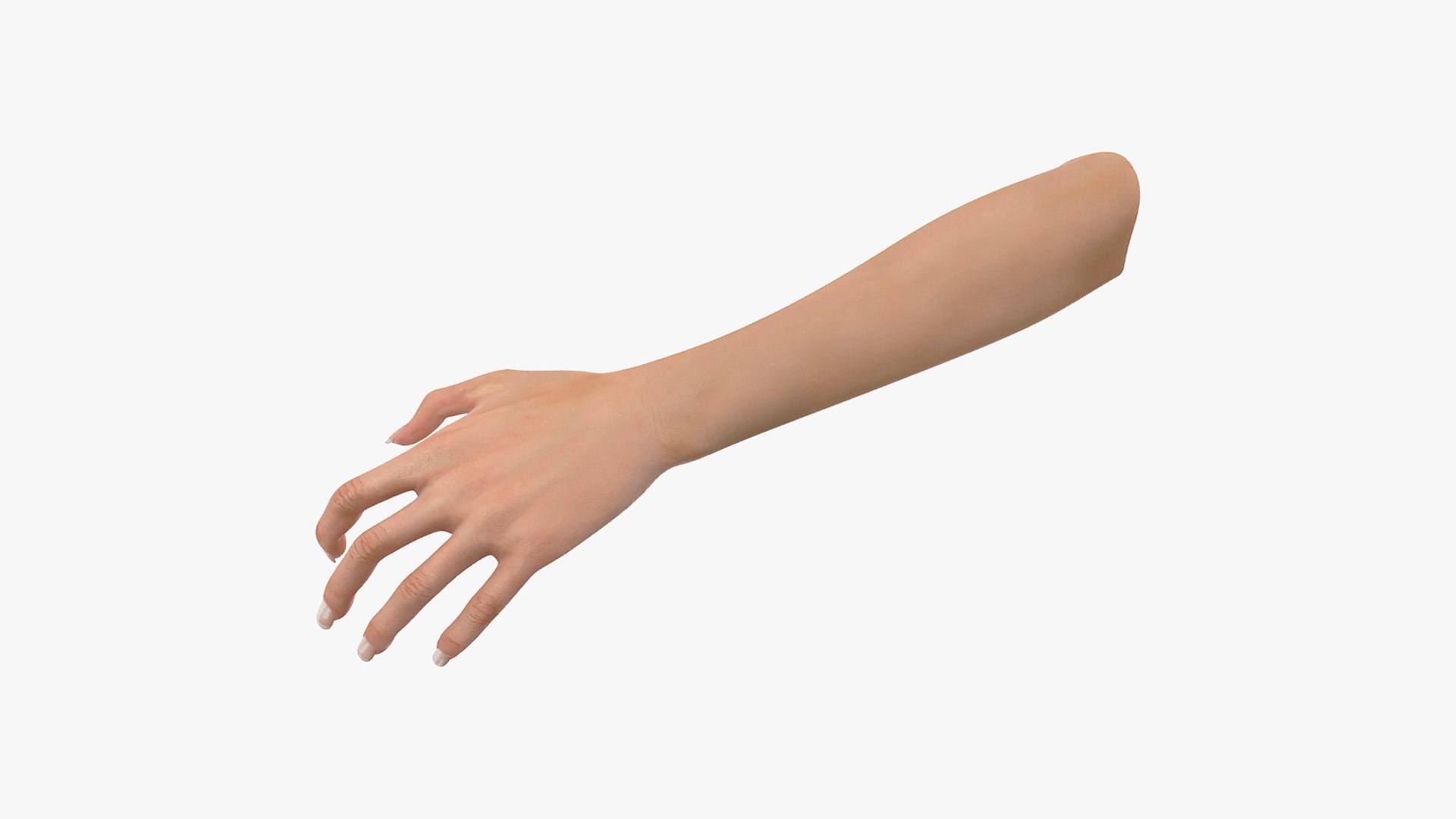 3D Model European Woman Hand Rigged For Cinema 4D - TurboSquid 2195327