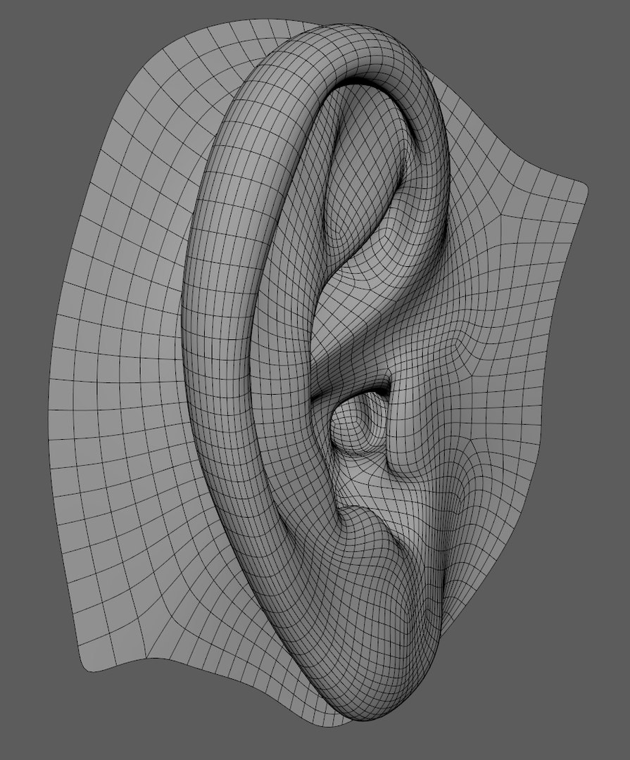 Ready Ear Human 3D Model - TurboSquid 1247873