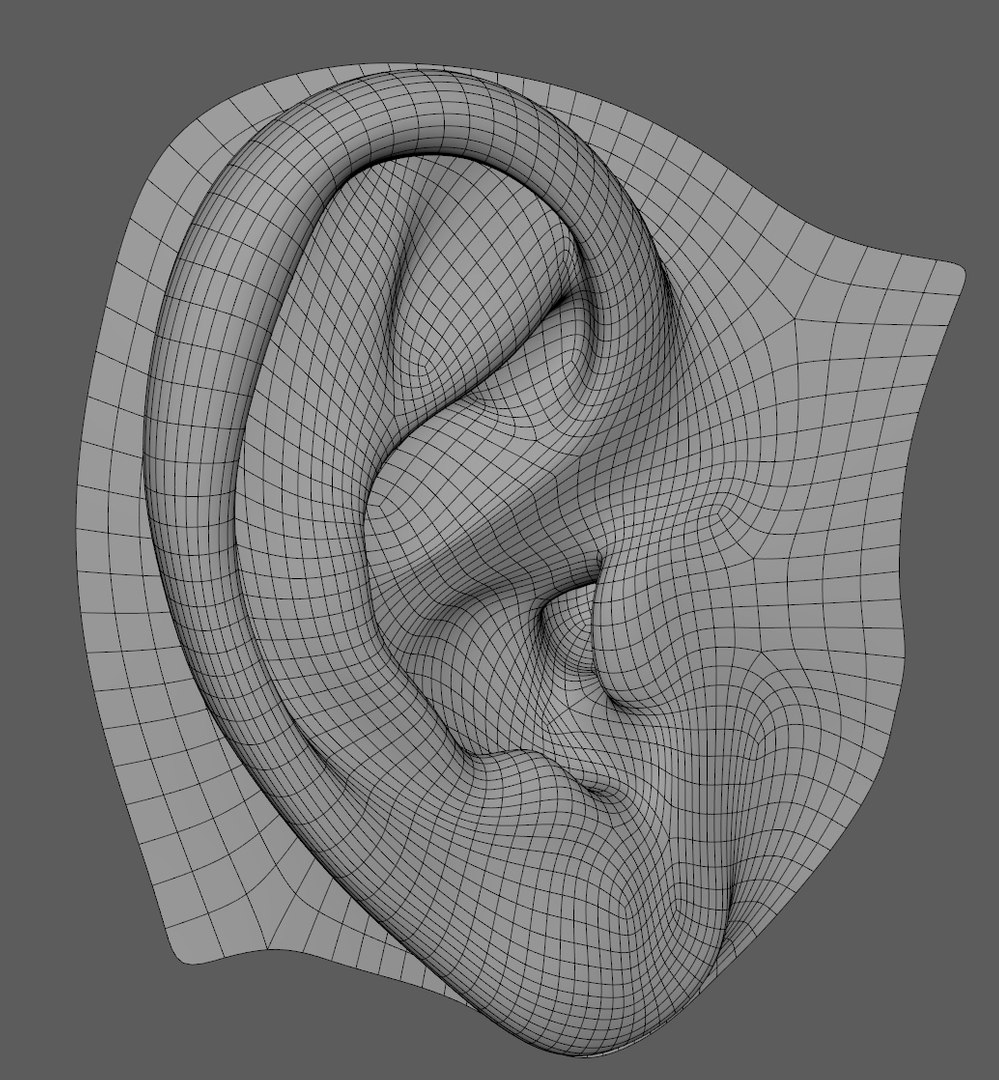 Ready Ear Human 3D Model - TurboSquid 1247873