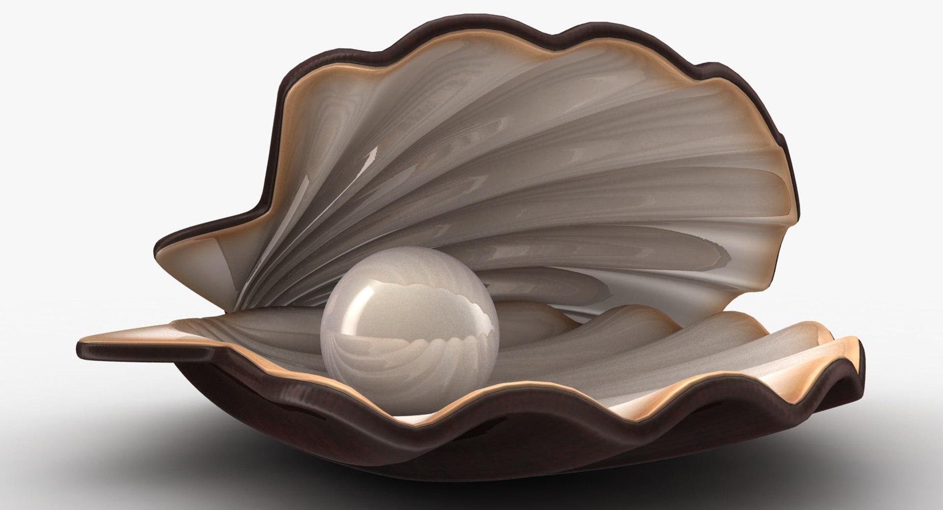 Pearl Shell Pose 2 3ds