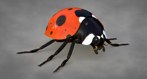 realistic ladybug 3d 3ds