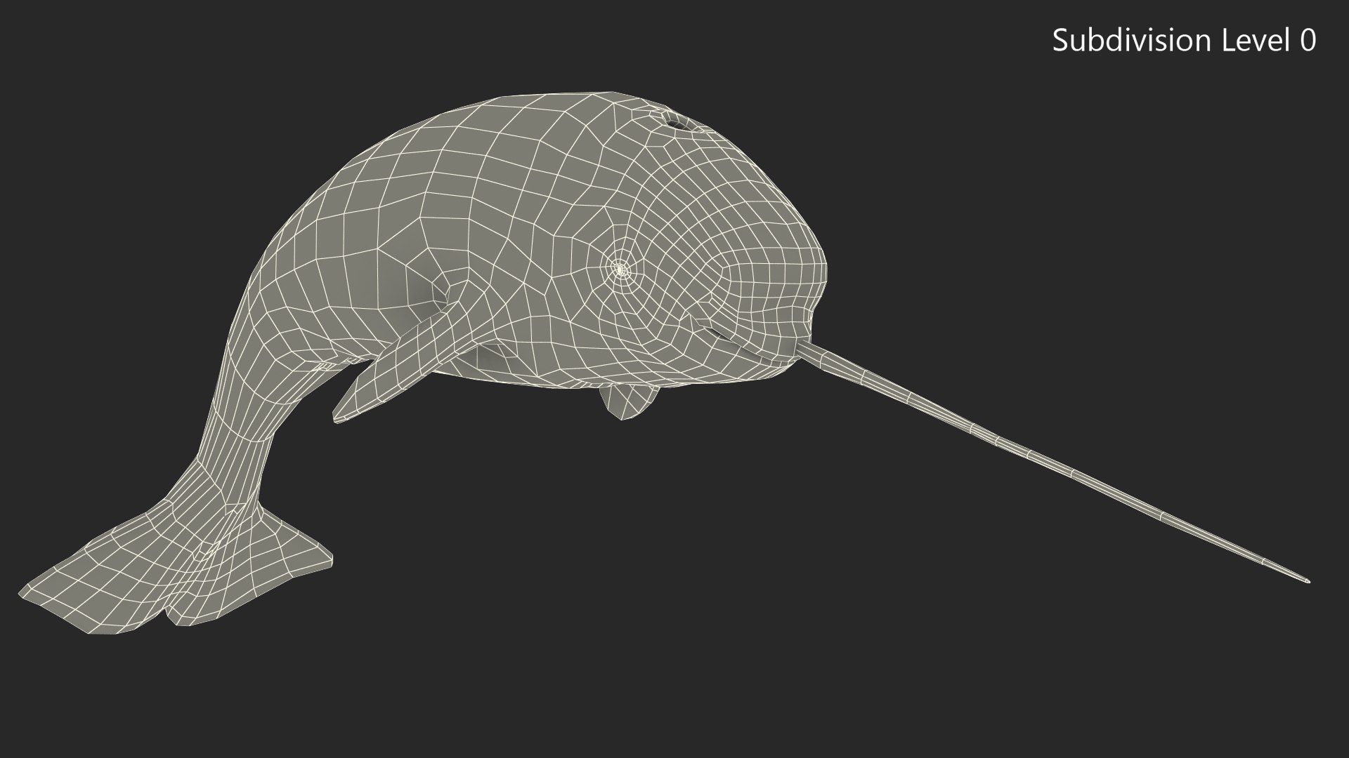 Narwhal Jumping Pose Model - TurboSquid 1486496