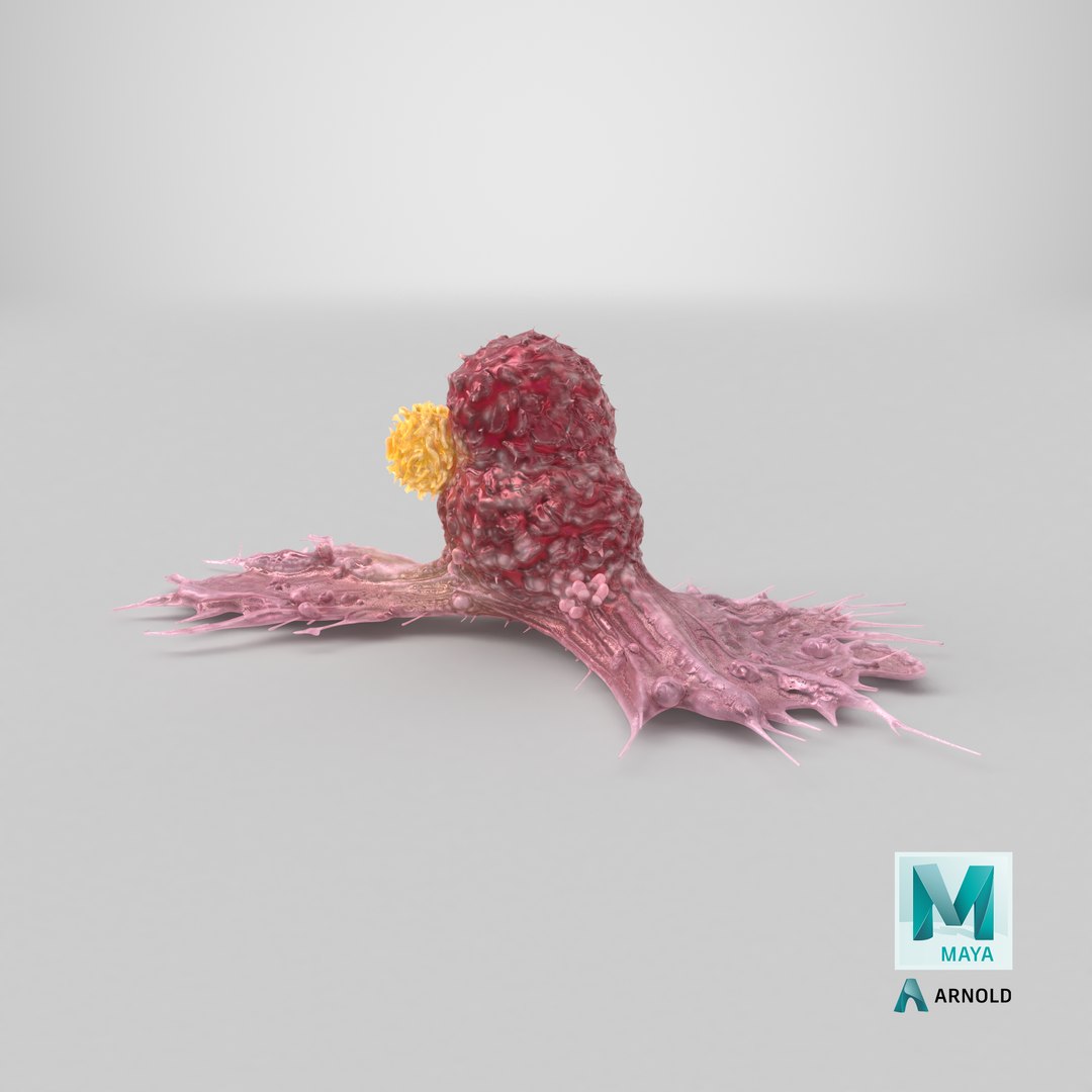 3D Cancer Cell With Lymphocyte Model - TurboSquid 2220710