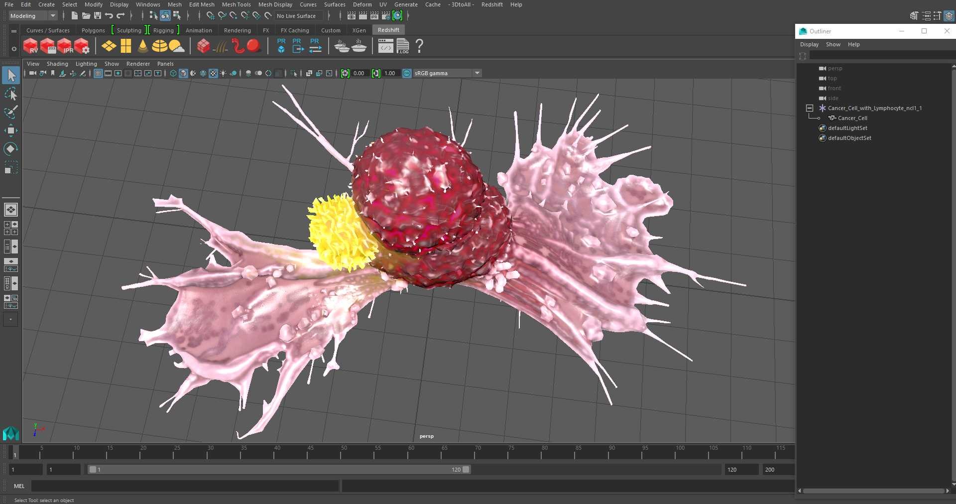 3D Cancer Cell With Lymphocyte Model - TurboSquid 2220710