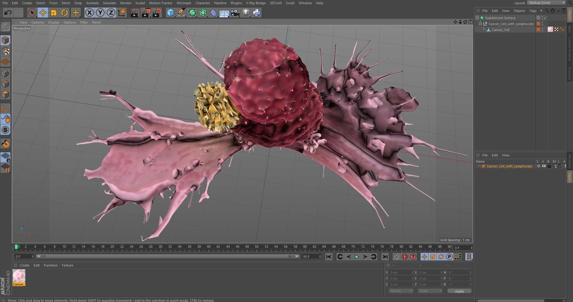 3D Cancer Cell With Lymphocyte Model - TurboSquid 2220710