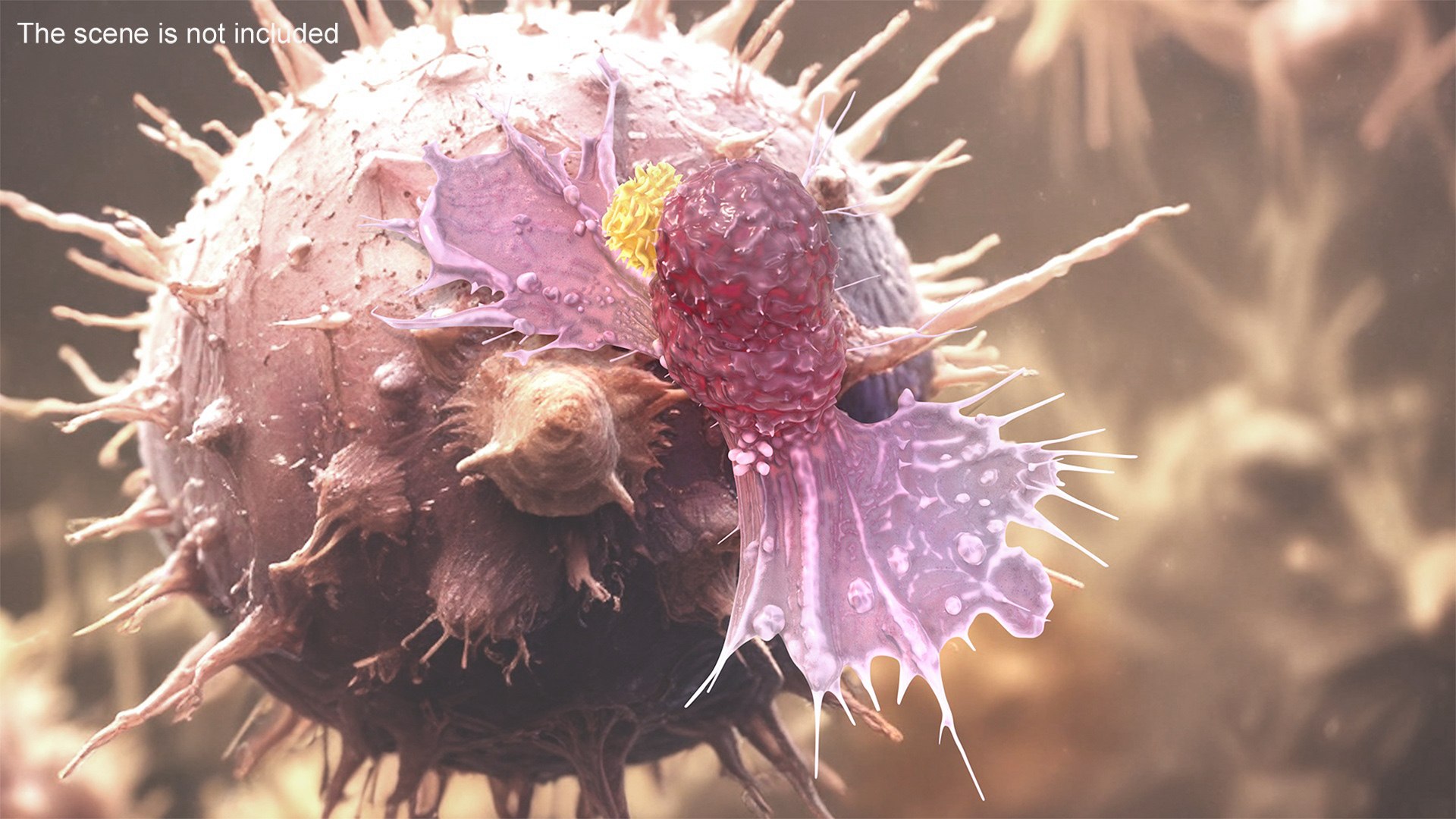3D Cancer Cell With Lymphocyte Model - TurboSquid 2220710