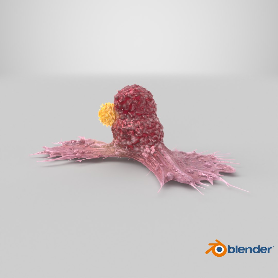 3D Cancer Cell With Lymphocyte Model - TurboSquid 2220710