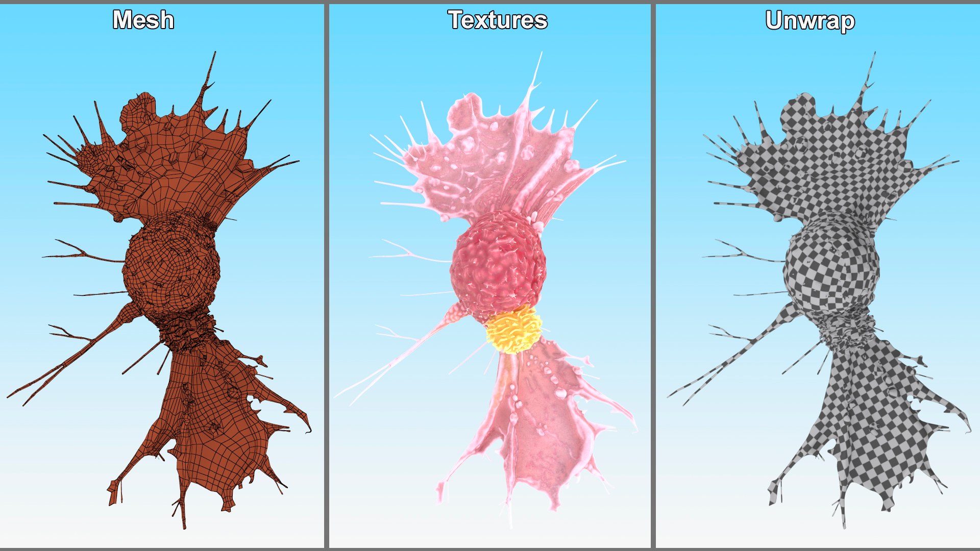 3D Cancer Cell With Lymphocyte Model - TurboSquid 2220710