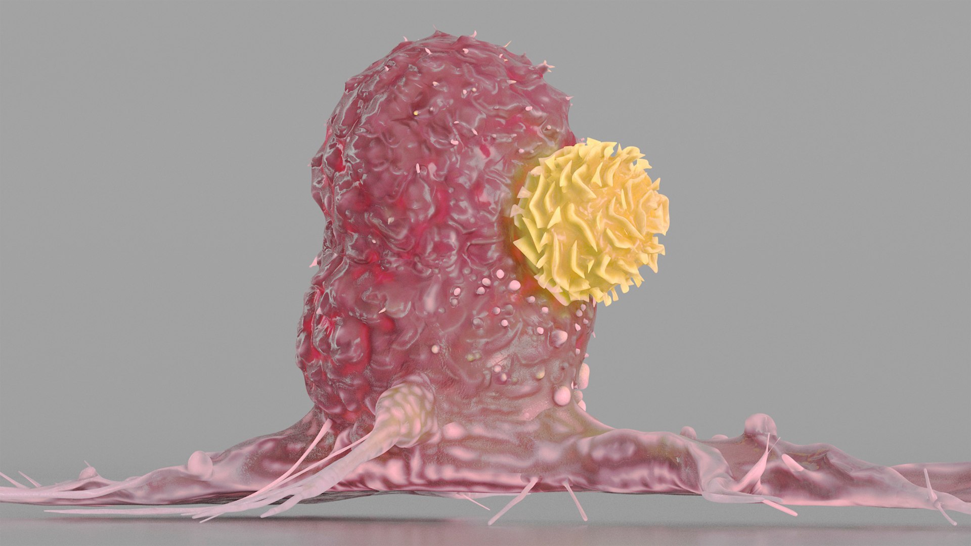 3D Cancer Cell With Lymphocyte Model - TurboSquid 2220710
