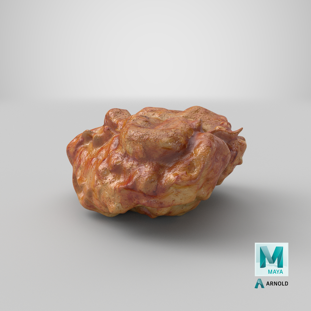 3D Crispy Chicken Breast 02 model - TurboSquid 1927585