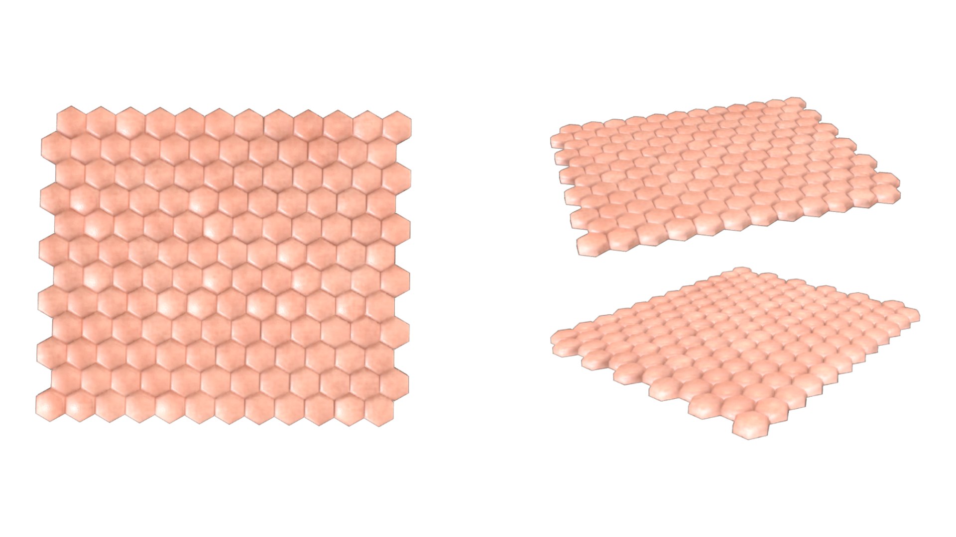 3D Human Skin Anatomy - TurboSquid 2136632