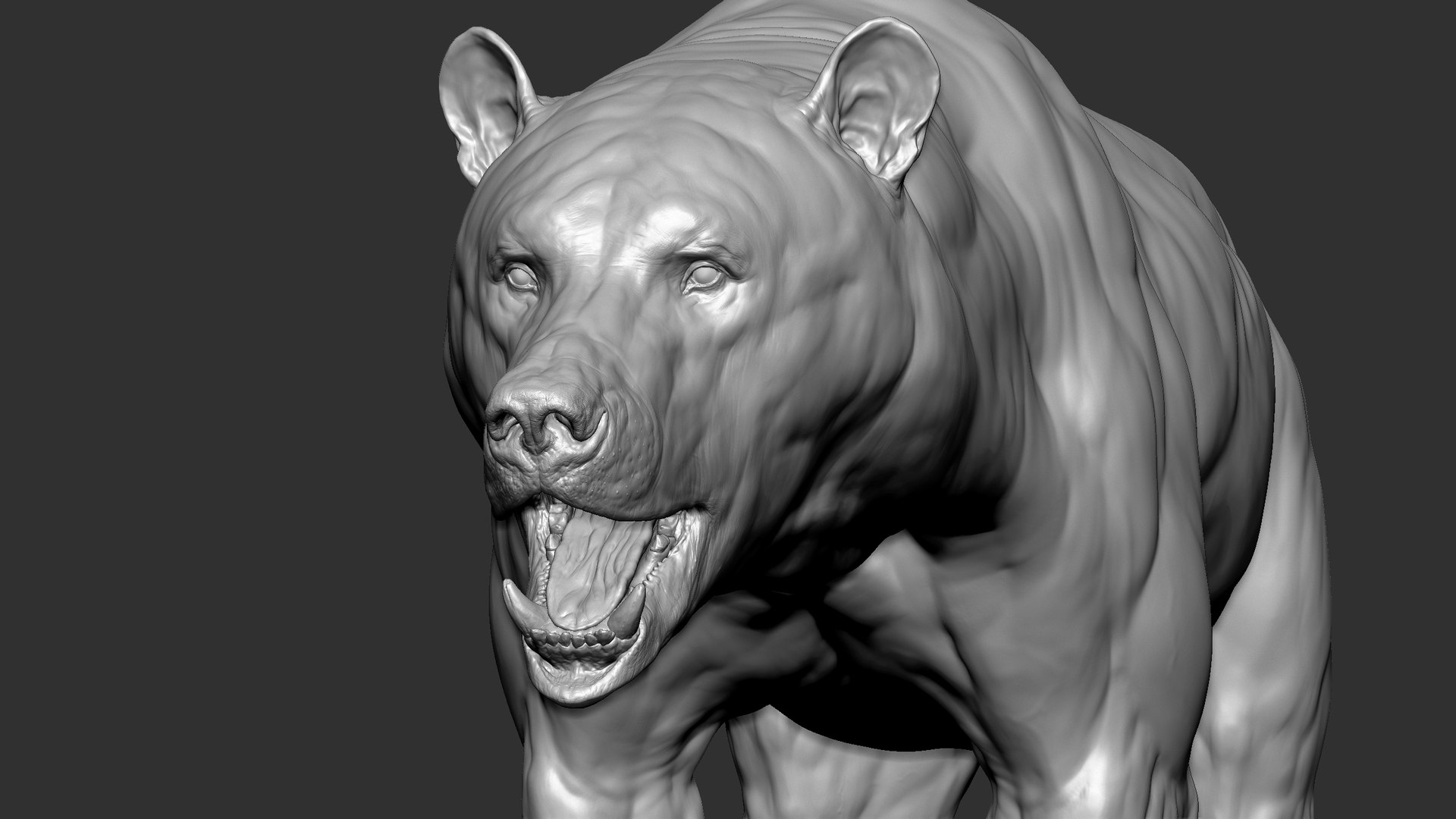 3D Bear Zbrush Model - TurboSquid 1646844