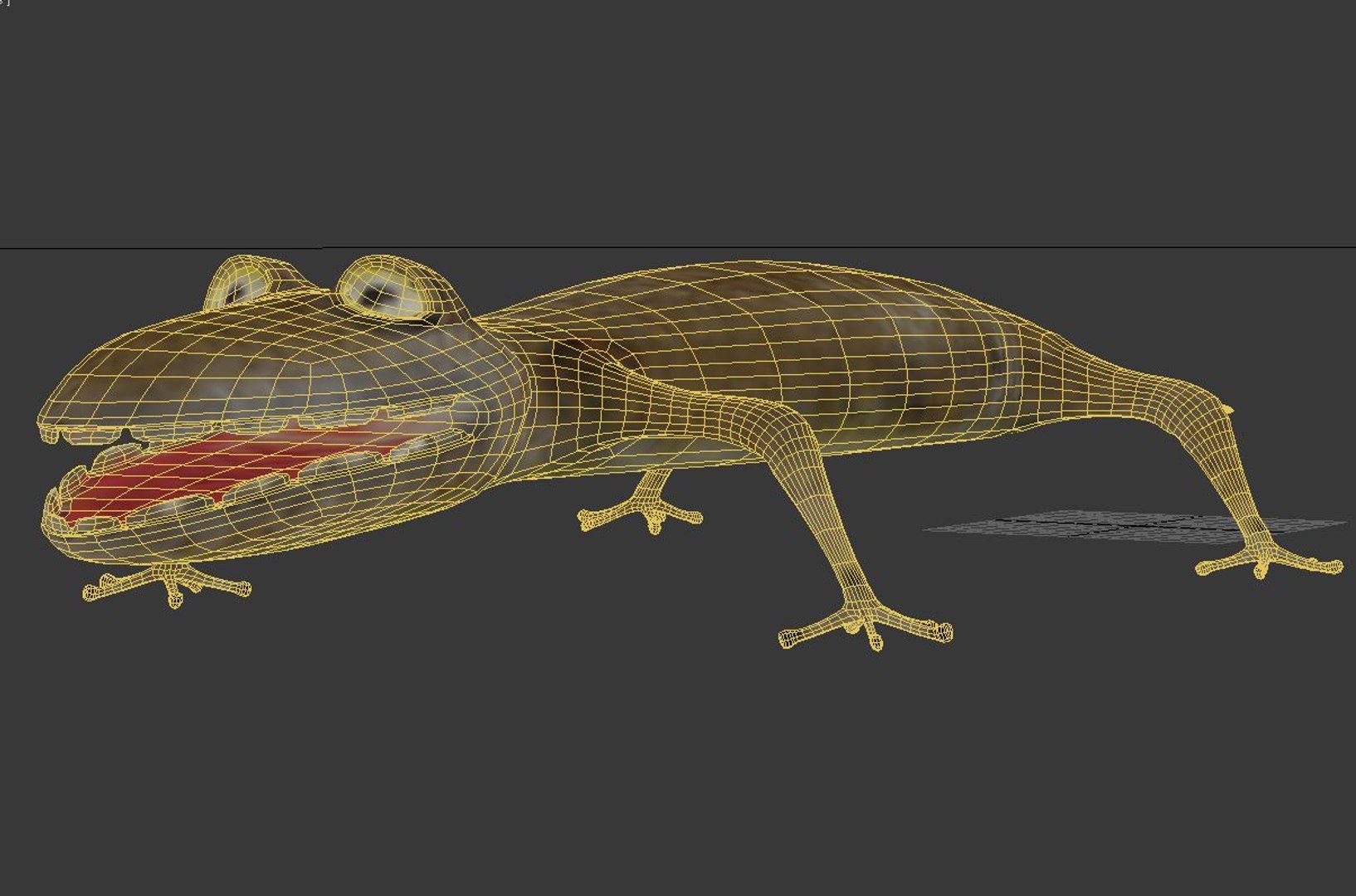3d Salamander Model